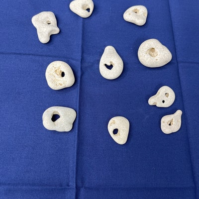 Beautiful Dinosaur Gembone Cabochon Fossil Jewelry Supply Genuine ...