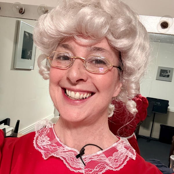 Deluxe Professional Mrs Santa Claus Wig Costume Cosplay New - Etsy