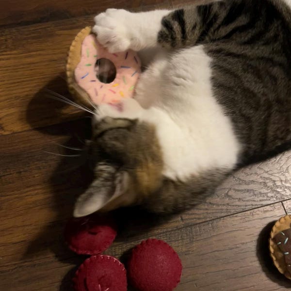 Turnip Catnip Cat Toy Hand-sewn Handmade Homegrown Cute Catnip Gift for ...