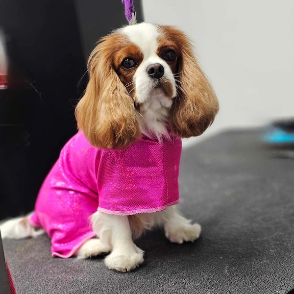 Purple Celestial Zodiac Anti-pill Plush Fleece Fabric - Etsy