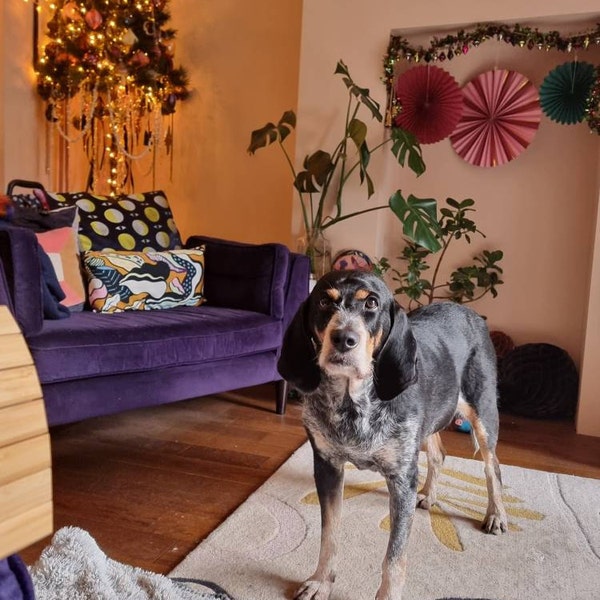 Medieval Knight Coat of Arms, Red Velvet 50x80cm, Knights Shield Props ...