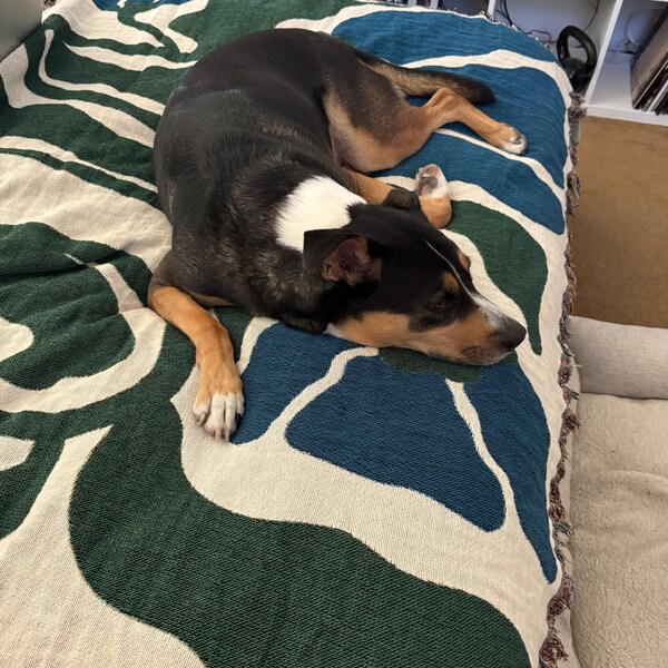 Topography Map Woven Throw Blanket, Forest Green Topographic Art ...