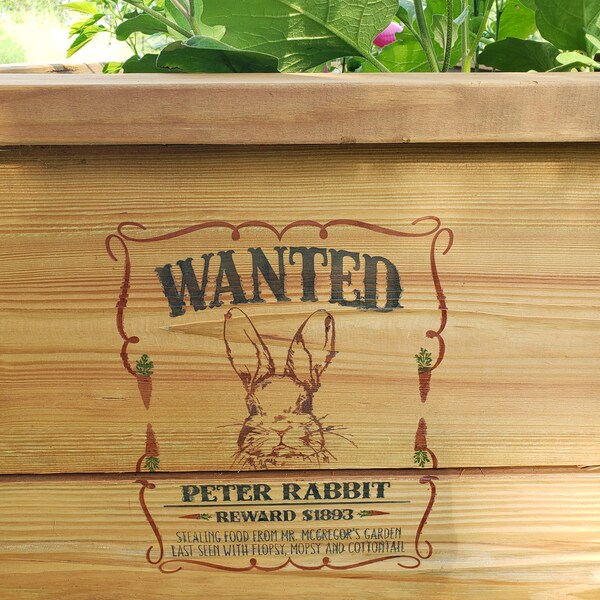 Wanted Peter Rabbit Stencil, Peter Rabbit Vinyl Decal, Rabbit Stencil ...