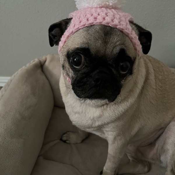 Chewies Piggy Dog Hat; Crochet Pig Hat; Piglet Pug Hat; Hats for Dogs ...