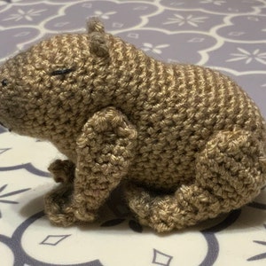 Capybara Crochet Pattern, Amigurumi Capybara Tutorial, DIY Crochet Mini ...