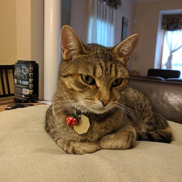 Cat Bell Cute Jingle Bell / Cat Collar Bell / Cat Collar With Bell ...