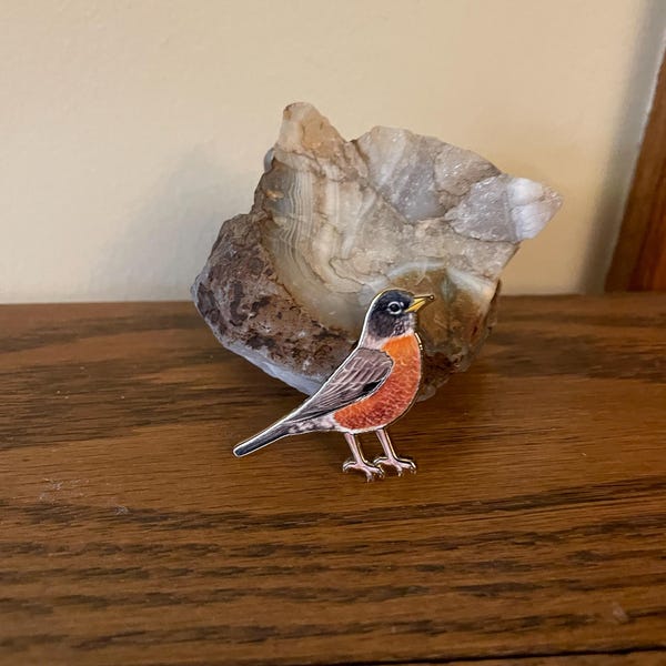 American Robin Bird Enamel Pin, Nature Gift, Gifts for Her, Lapel Pin ...