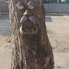 Tree Face Sculpture, Whimsical Old Man Tree Hugger Hanging Flower ...