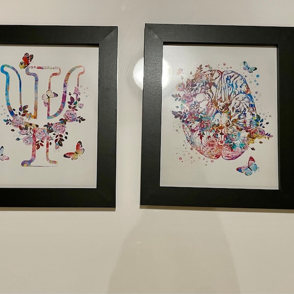 15 Ishihara Color Blind Test Cards Ophthalmology Art Optician Gift ...