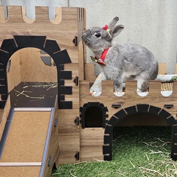 Bunny Villa With Two Rooms and Four Living Spaces, Four Compartment ...