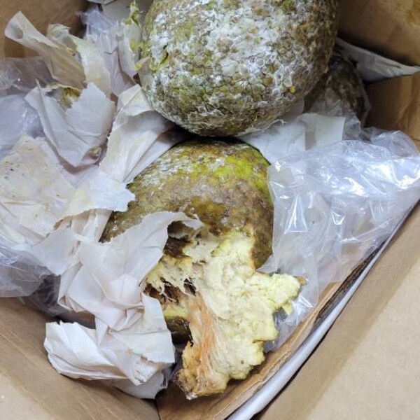 The Pinkglow® Pink Pineapple Gift Box - Etsy