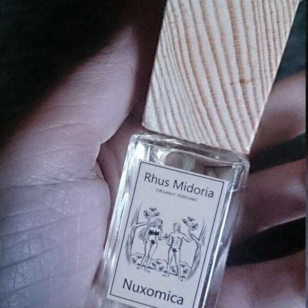 10 Perfumes Mini-set Women Perfumes Organic Testers Craft Perfume ...