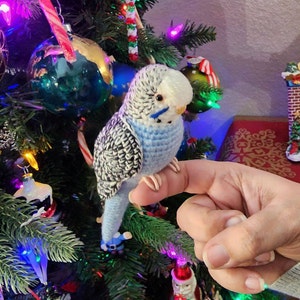 Sun Conure Figurine Crochet Parakeet Plush Toy as Gift for - Etsy