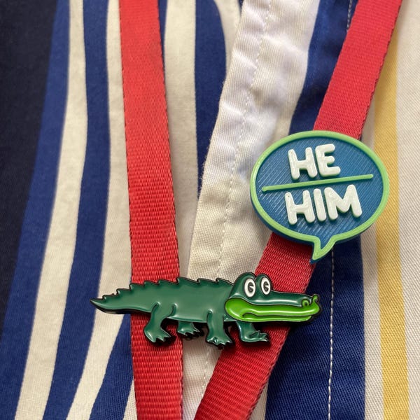 Pronouns Pins - She/her, He/him, They/them, Any Pronouns - 3D Printed ...