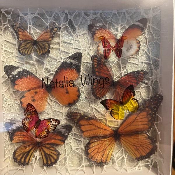 Silk Butterfly Set 6 "monarchs", Natalia Wings, Butterfly Jewellery ...