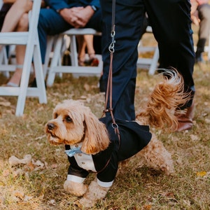 Bespoke Navy Blue Dog Tuxedo With Burgundy Bow Tie French - Etsy