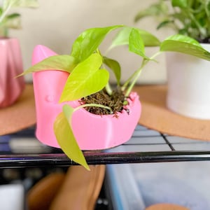 Fire Hydrant Succulent Planter Home Decor Modern Planter 3D Printed ...