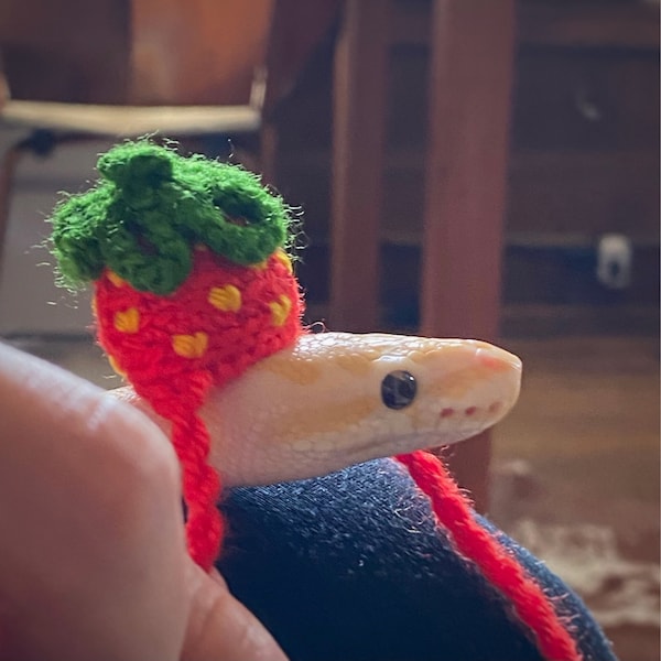 Tiny Reptile Hat, Hat for Hamster, Small Lizard Hat, Clothes for Pets ...