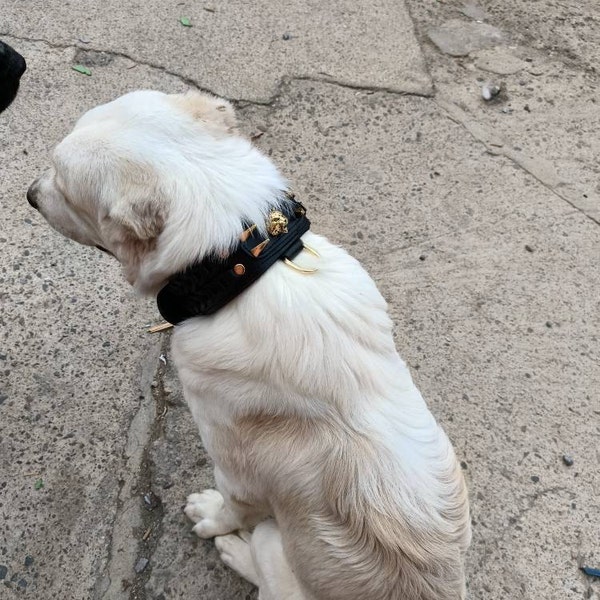 Gold Brass Stone Collars Handmade Dog Collars Personalized Collars Dog ...