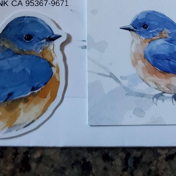Bluebird Sticker Backyard Bird Sticker Bird Watcher Waterproof Vinyl ...