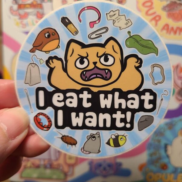 Time Beetle Enamel Pin - Etsy