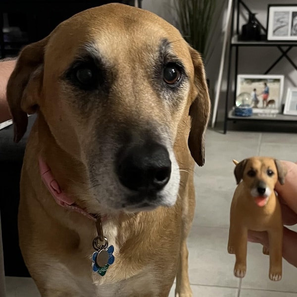 Custom Dog Wedding Cake Topper: Handmade Pet Memorial Figurine - Etsy