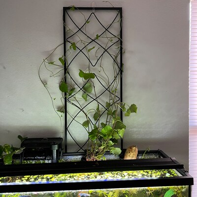 Poth-o-carry® Solo Net Pot Holder for Your Aquarium - Etsy