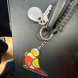 Indian Ringneck Acrylic Keychains, Pick Your Parakeet Custom Parrot ...