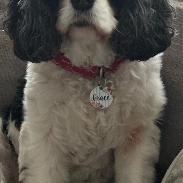 Aqua Tribal Cross Dog Tag Double Sided - Customized Dog Tag - Custom ...