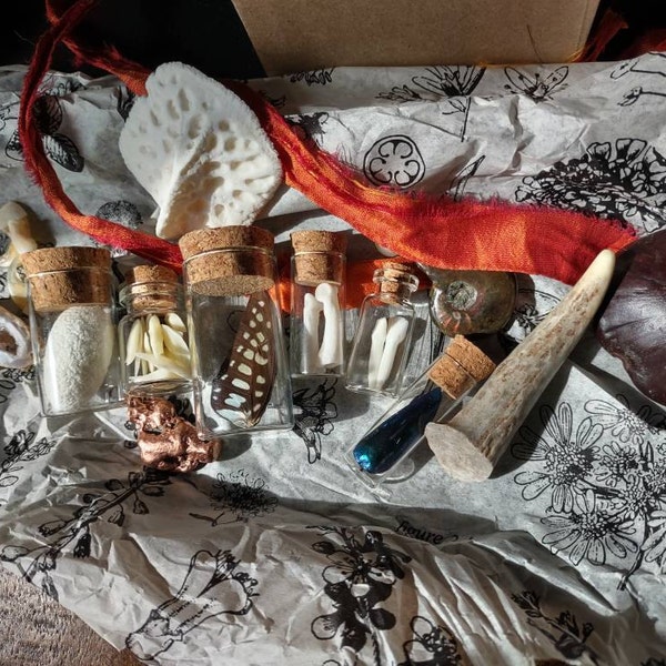 15 Item Curiosities Mystery Box | Real Animal Bones| Fossils & Minerals ...