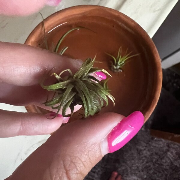 Mini Altar Tins With 20-minute Meditation Candles - Etsy