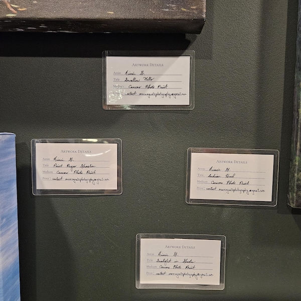 Artwork Labels for Art Shows and Exhibitions, Display Cards, Pack of 25 ...
