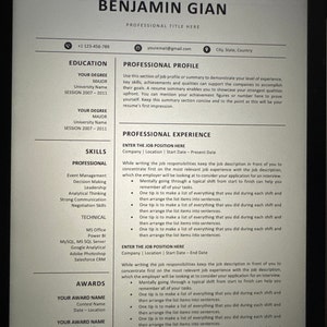 Editable Work Planner Template, Work Day Organizer, Printable Daily ...