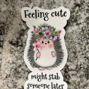 I'm Not a Control Freak Sticker Sarcastic Quotes Sticker | Etsy