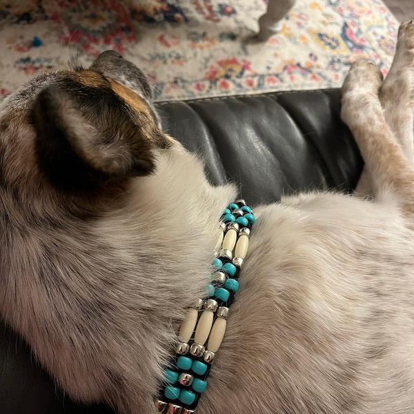 Turquoise Dog Collars - Beaded Dog Collars - Native American Dog ...