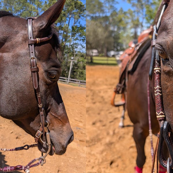 Handmade Bosal Set, 40 Plaits Rawhide Natural & Black Bosal Set, Bosal ...