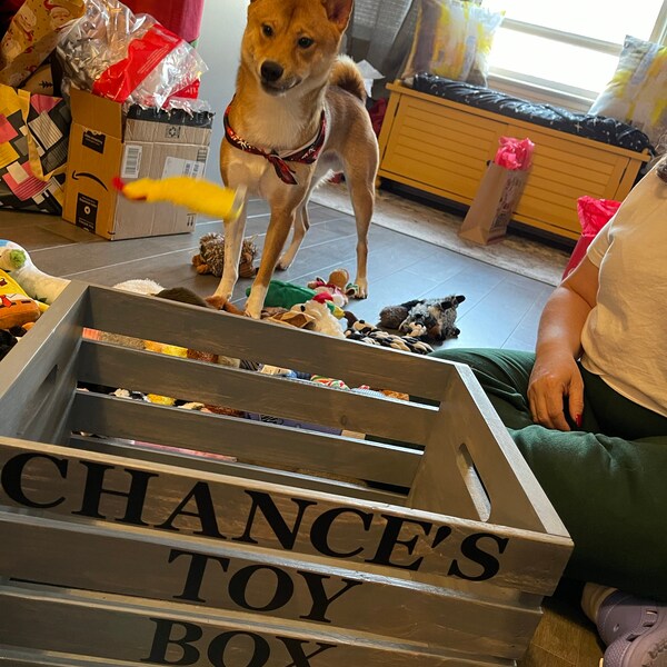 Dog Toy Box Large, Dog Toy Box, Pet Storage, Pet Organization, Pet Toy ...