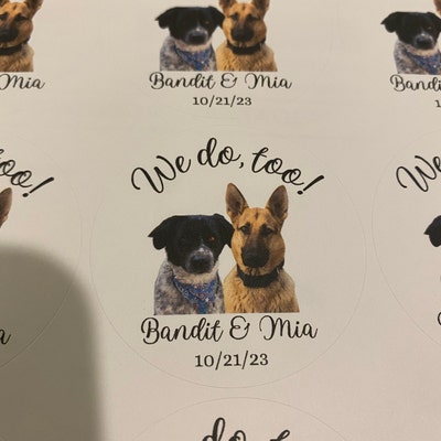 Graduation Thank You Stickers Graduation Decorations 2023 - Etsy