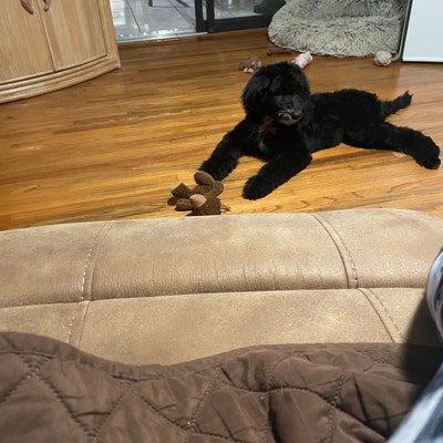 Spacex Falcon 9 Embroidery Design Digital File Embroidery - Etsy