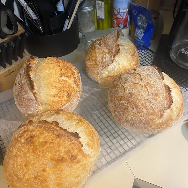 1000+ Year Old Dutch/wales Sourdough Starter Live Ready to Bake or ...