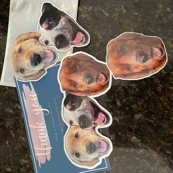 Garba Sticker Pack Navratri Stickers Waterproof Water Bottle Sticker ...