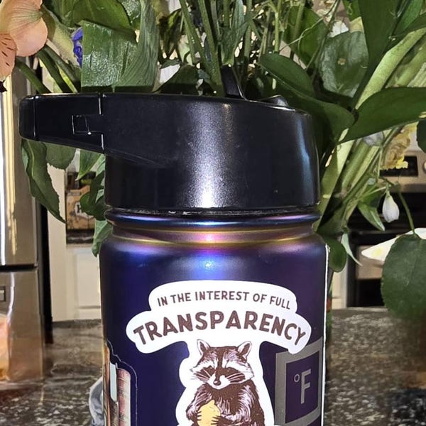 Virginia Retro Text Vinyl Sticker, Virginia Stickers, Virginia Decal ...