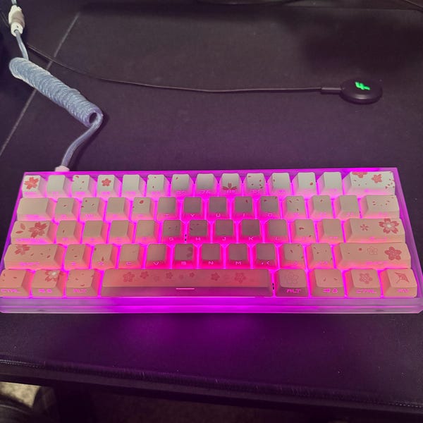 Backlit Soft Pink Cherry Blossom Keycap Set: OEM Profile, PBT - Etsy