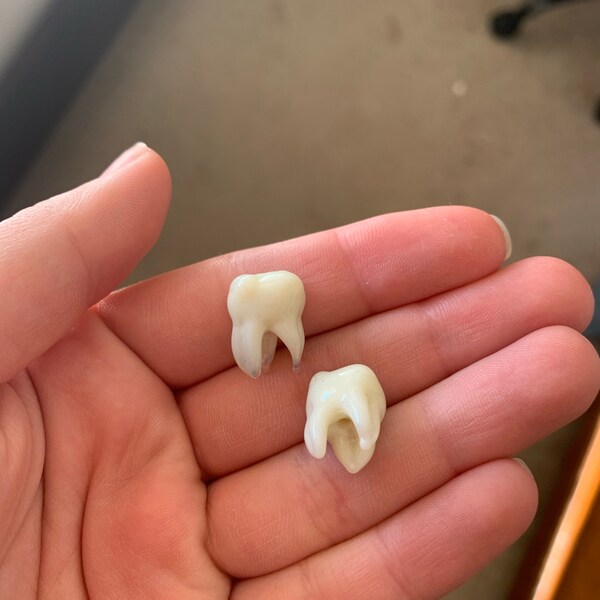 Glass Root Tooth Beads, Molar Beads, Dentist Gift Prank, Teeth Beads ...