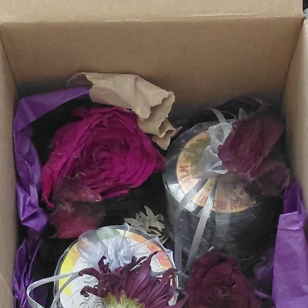 Rosemary's Baby Tannis Root Herbal Locket Necklace: Witchcraft Herbal ...