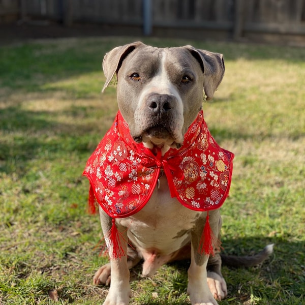 New Year Bandana Bib for Dogs and Cats, Chinese Spring Festival Red ...
