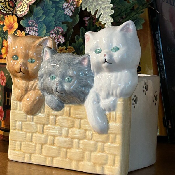 Warheads "racing Wally" Collector Plush New in Package - Etsy