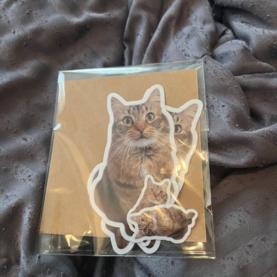 Dead Lift Sticker, Funny Vinyl Sticker, PREMIUM Quality, Laminated ...