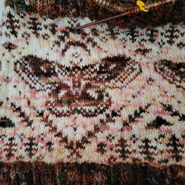 Cecropia Cowl Pattern, Silk Moth Cowl, Knitting Pattern, Digital PDF ...