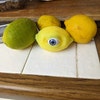 The All Seeing Lemon - Etsy Israel